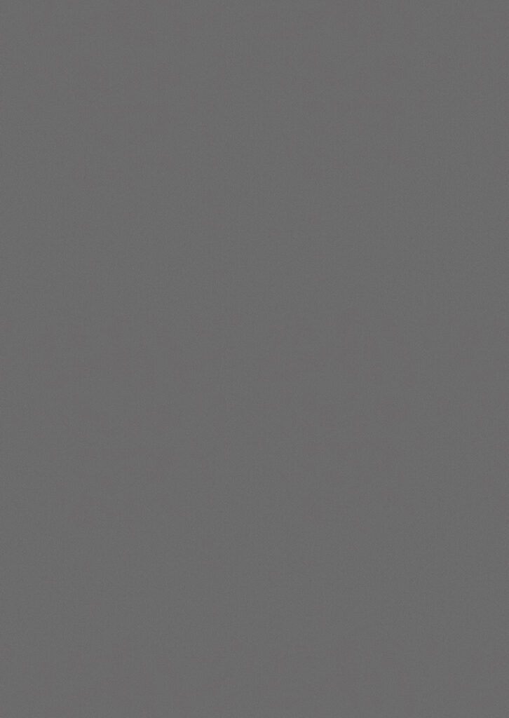 F463 ST20 Platinum Grey Metallic (Discontinued) - Norm Singapore