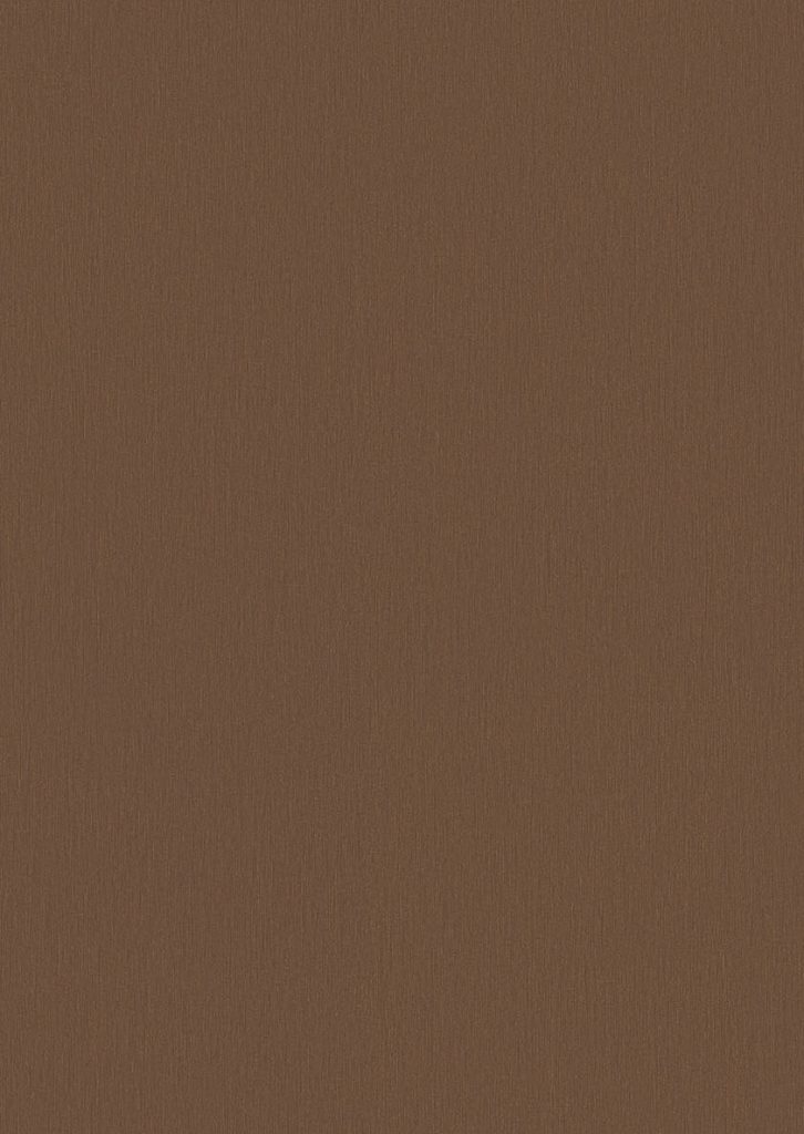 F528 ST20 Bronze Brushed Metal - Norm Singapore